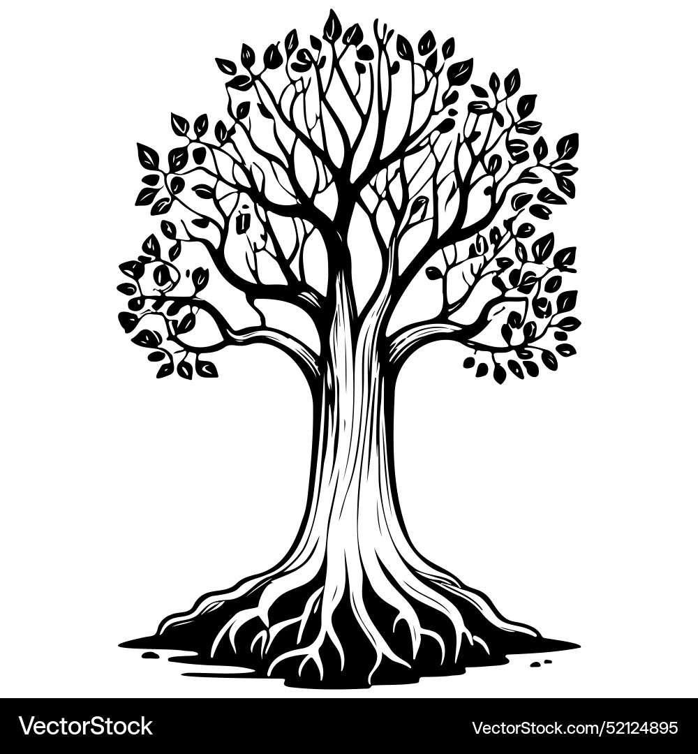 Cartoon roots drawing line head art black Vector Image