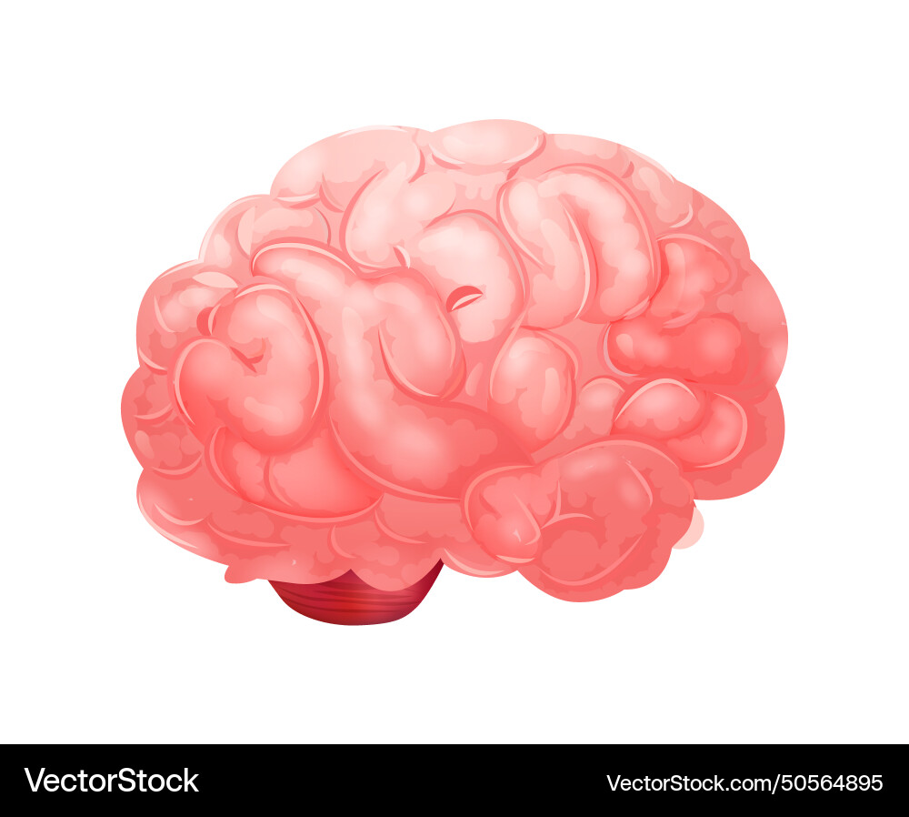 Realistic human brain composition Royalty Free Vector Image