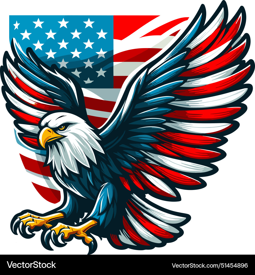 American eagle design with bald eagle like that Vector Image
