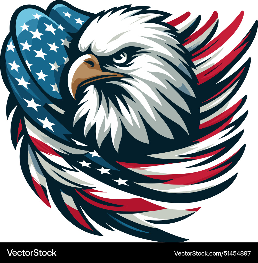 American eagle design with bald eagle like that Vector Image