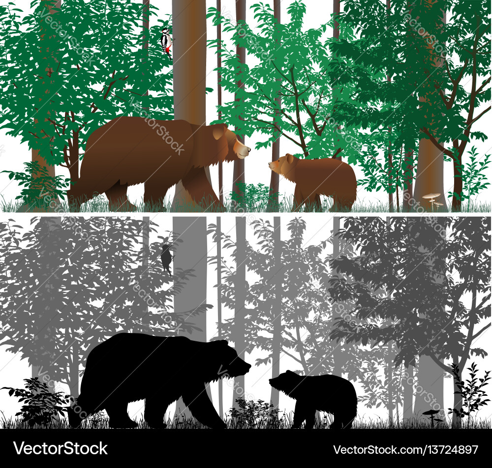 Bear Cub Outline Vector Images (over 1,400)