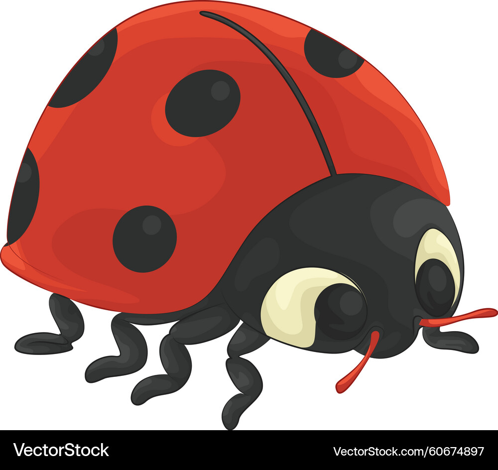 Ladybug Royalty Free Vector Image - VectorStock