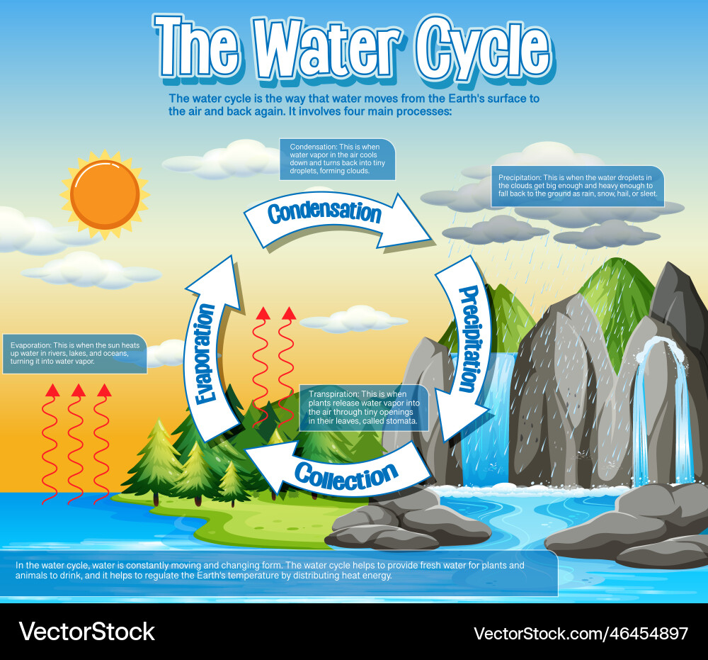 Images Water Cycle Chart Education Chart Of Water Cycle