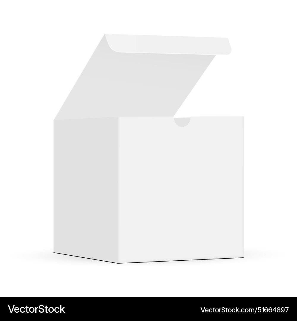 White blank square box with opened lid side view Vector Image