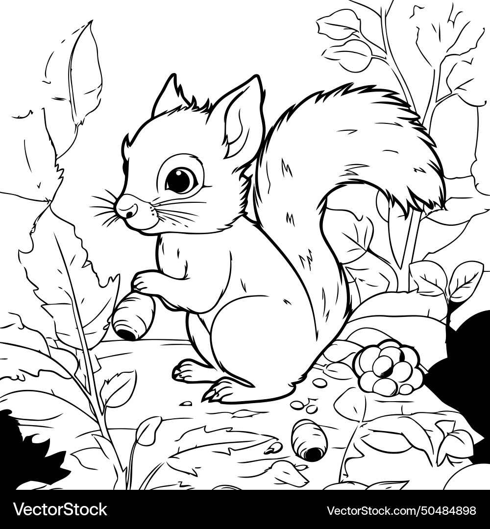 Squirrel in the forest black and white Royalty Free Vector