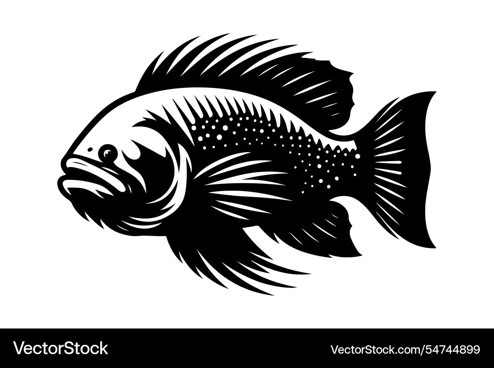 Goliath tigerfish silhouette - high-quality Vector Image