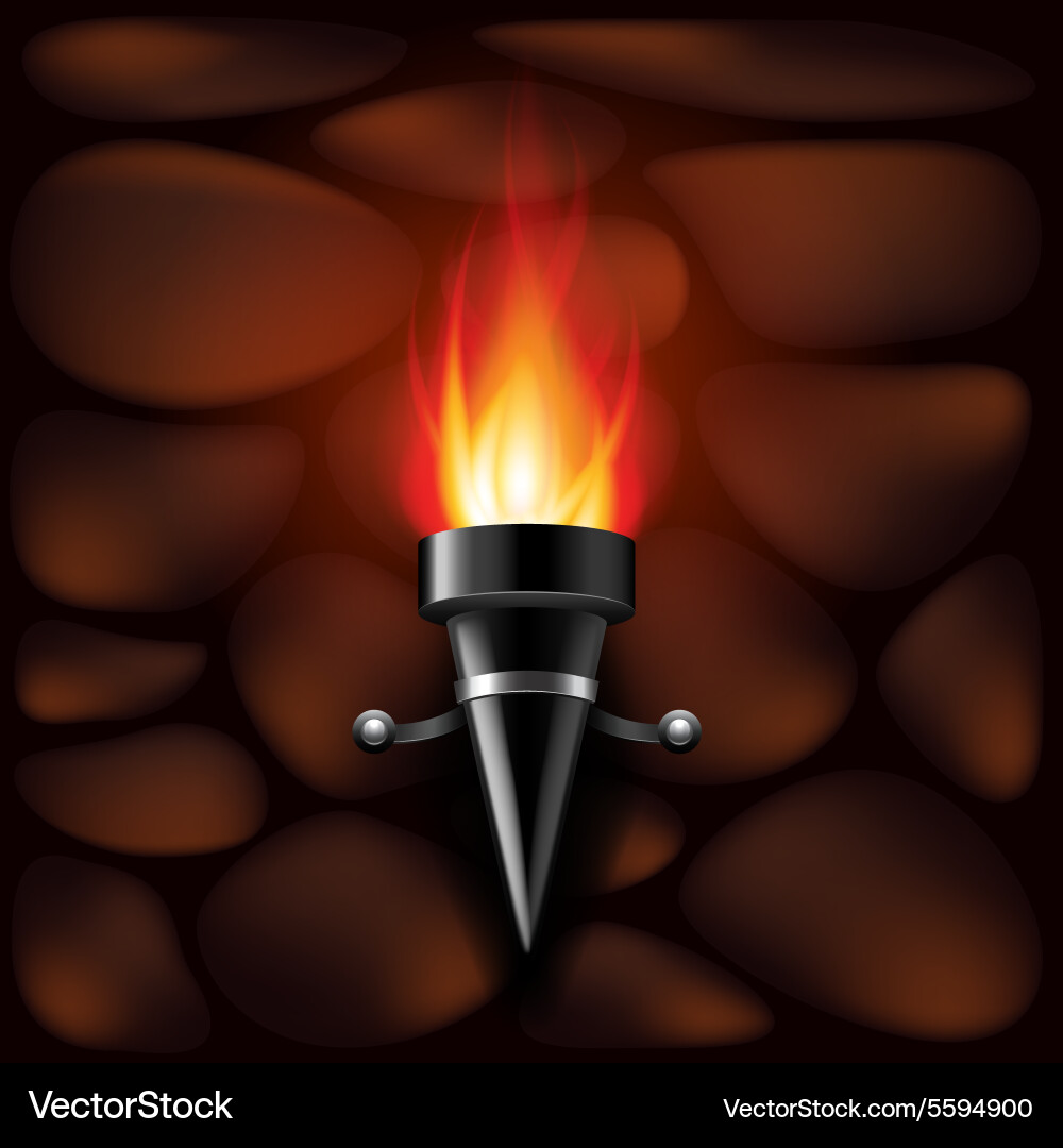 Fire torch on stone wall background Royalty Free Vector