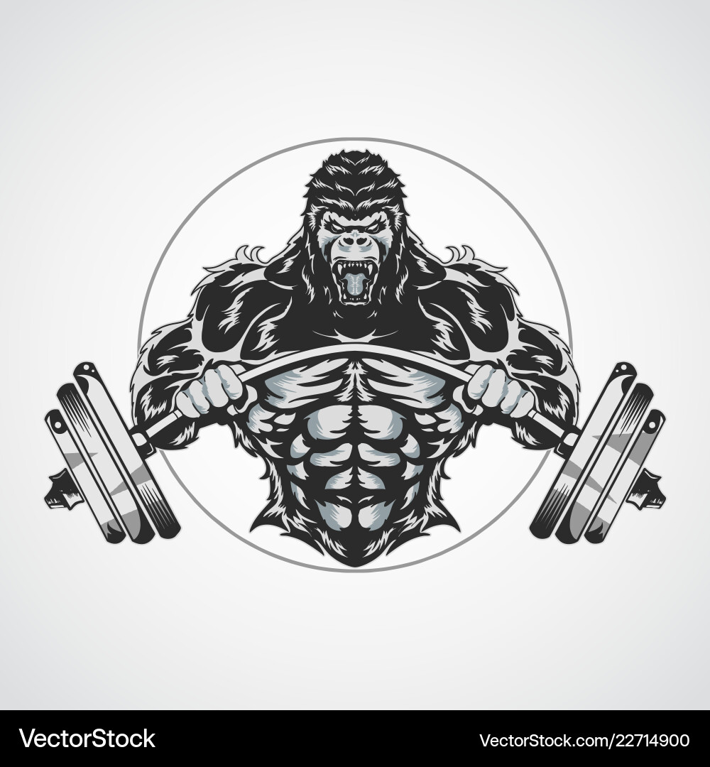 Silverback Vector Images (over 730)