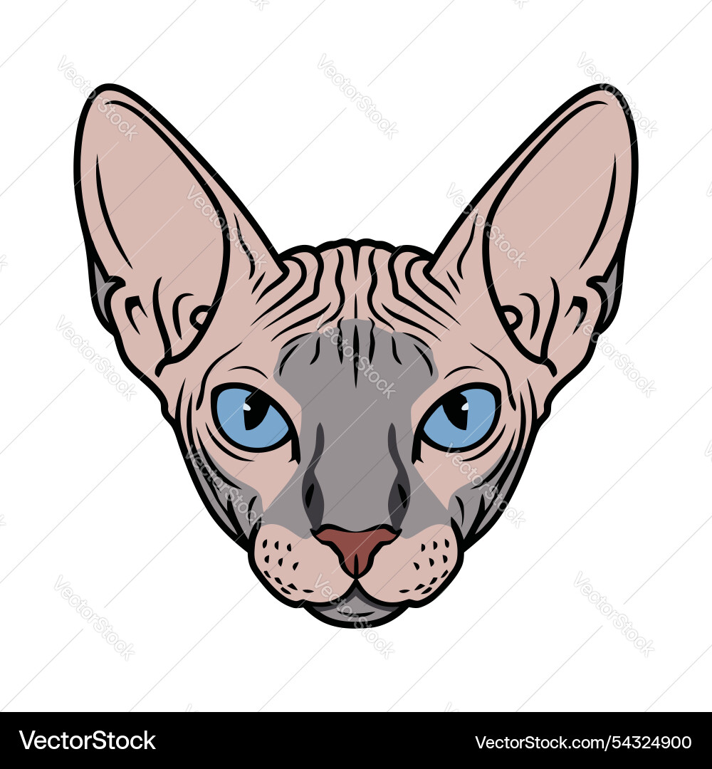 Sphynx cat face Royalty Free Vector Image - VectorStock