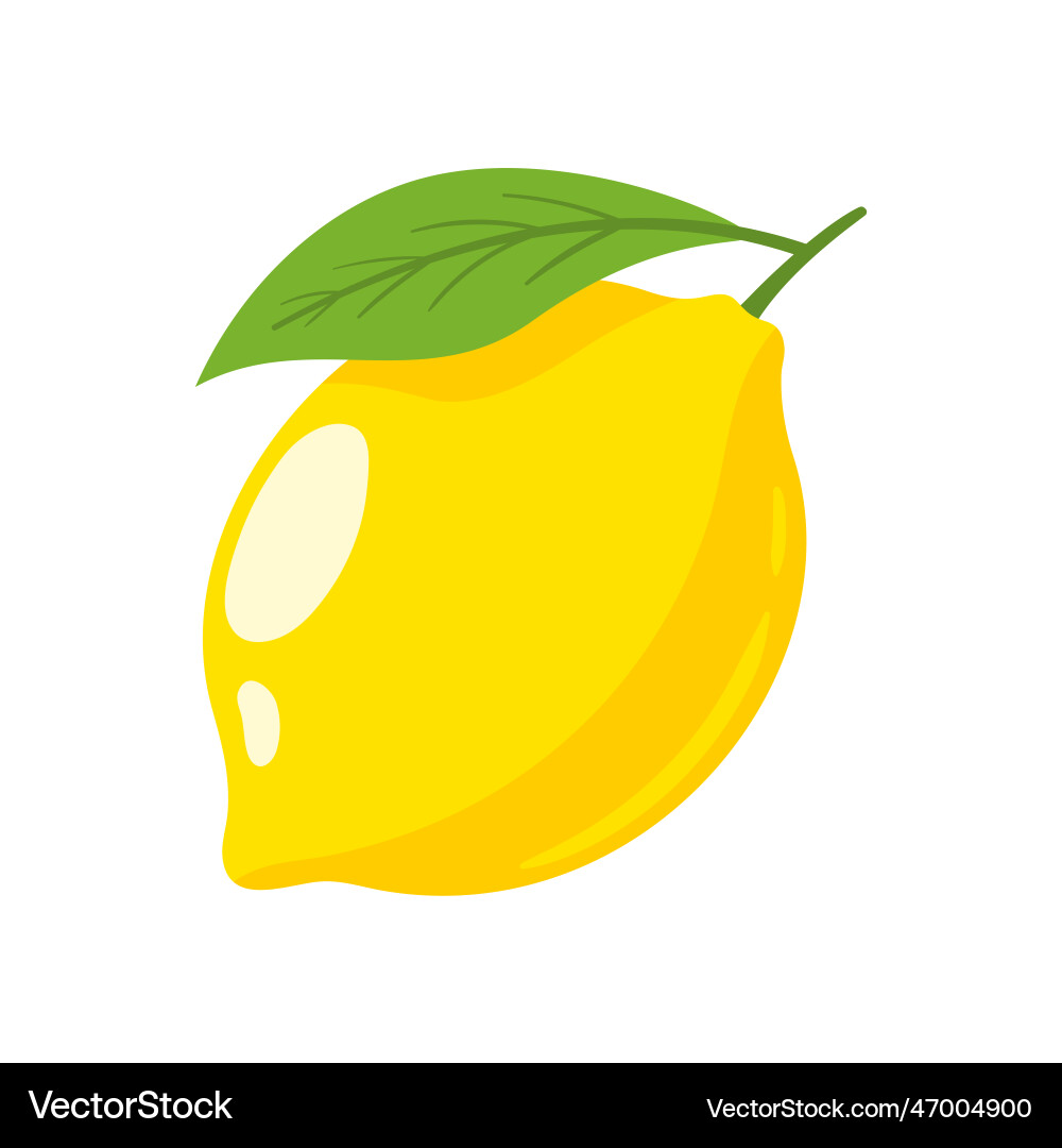 Yellow lemon isolated on white background Vector Image