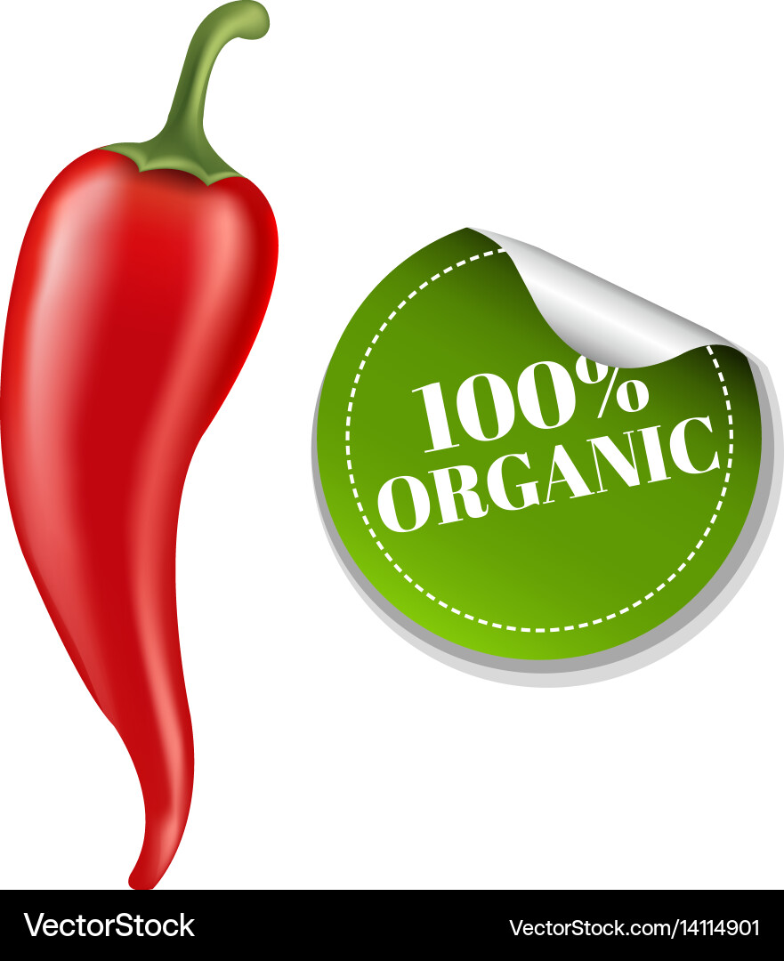 Chilli pepper with label Royalty Free Vector Image