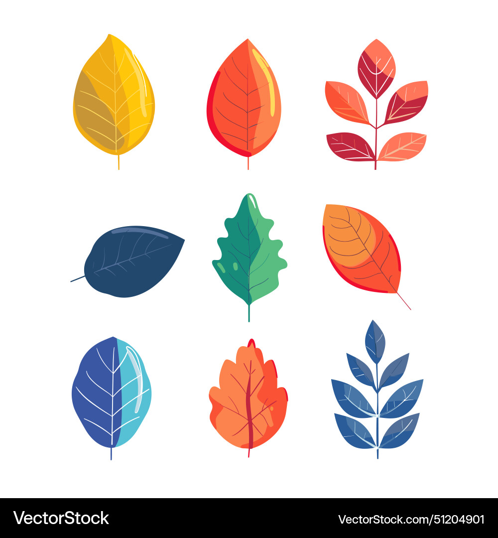 Collection colorful leaves various shapes designs Vector Image