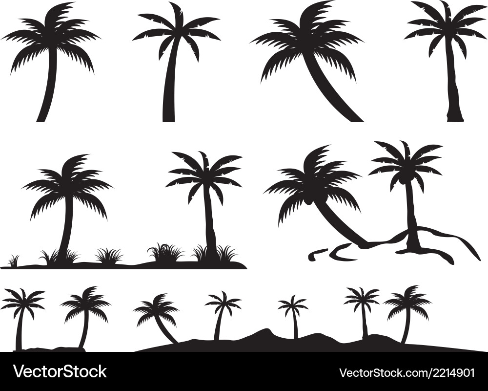 Tropical Palm Trees and Beach Royalty Free Vector Image