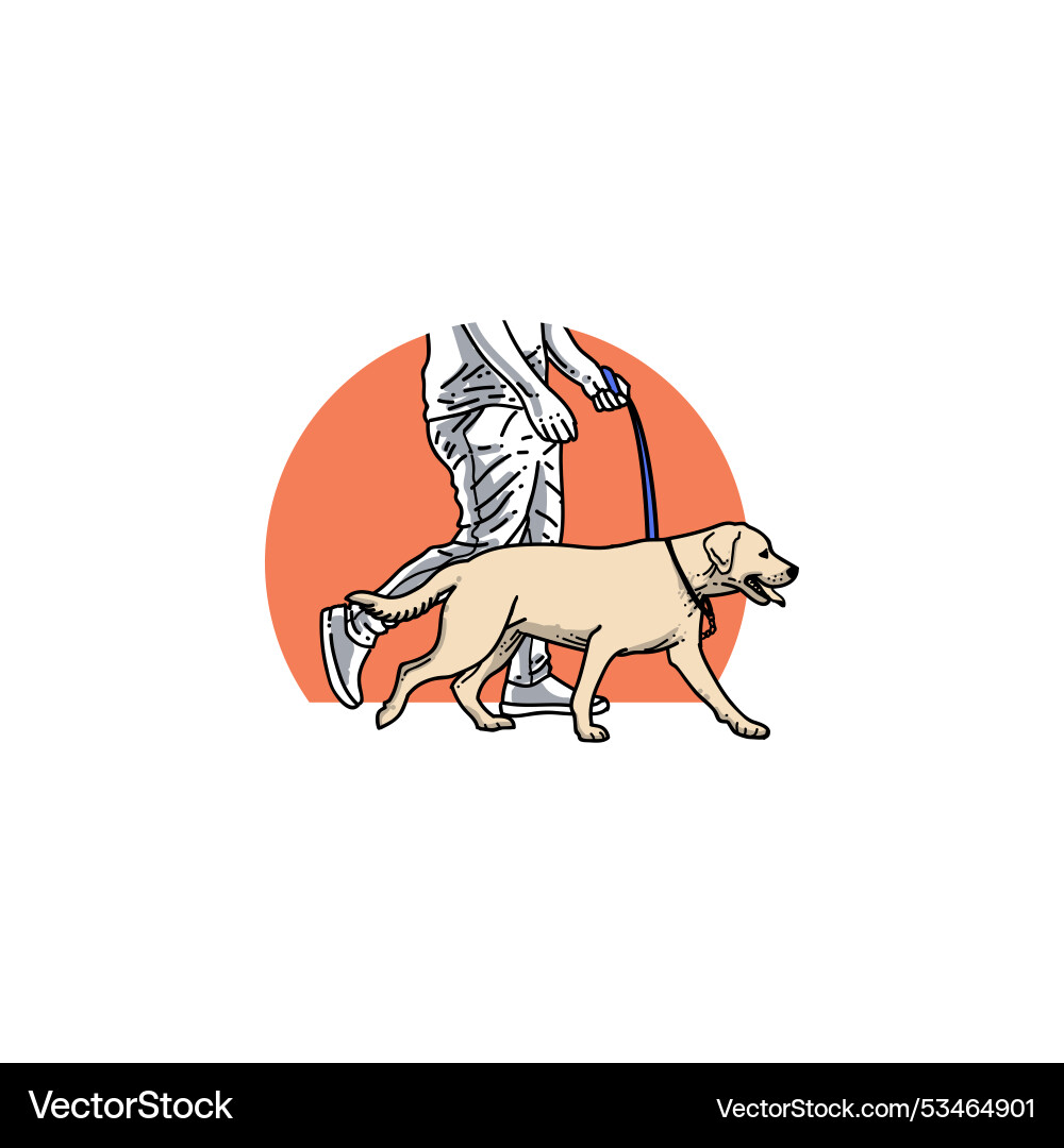 Walk around dog Royalty Free Vector Image - VectorStock
