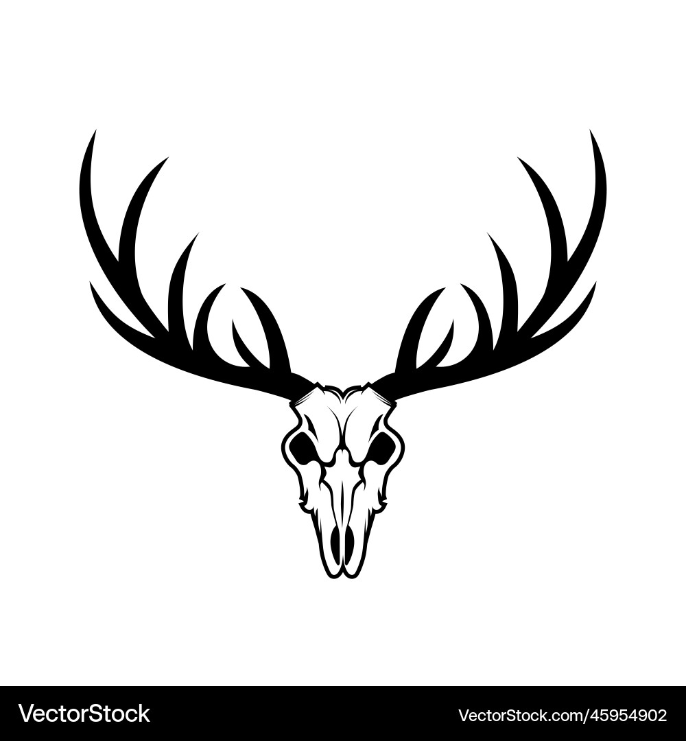 Deer skull head Royalty Free Vector Image - VectorStock