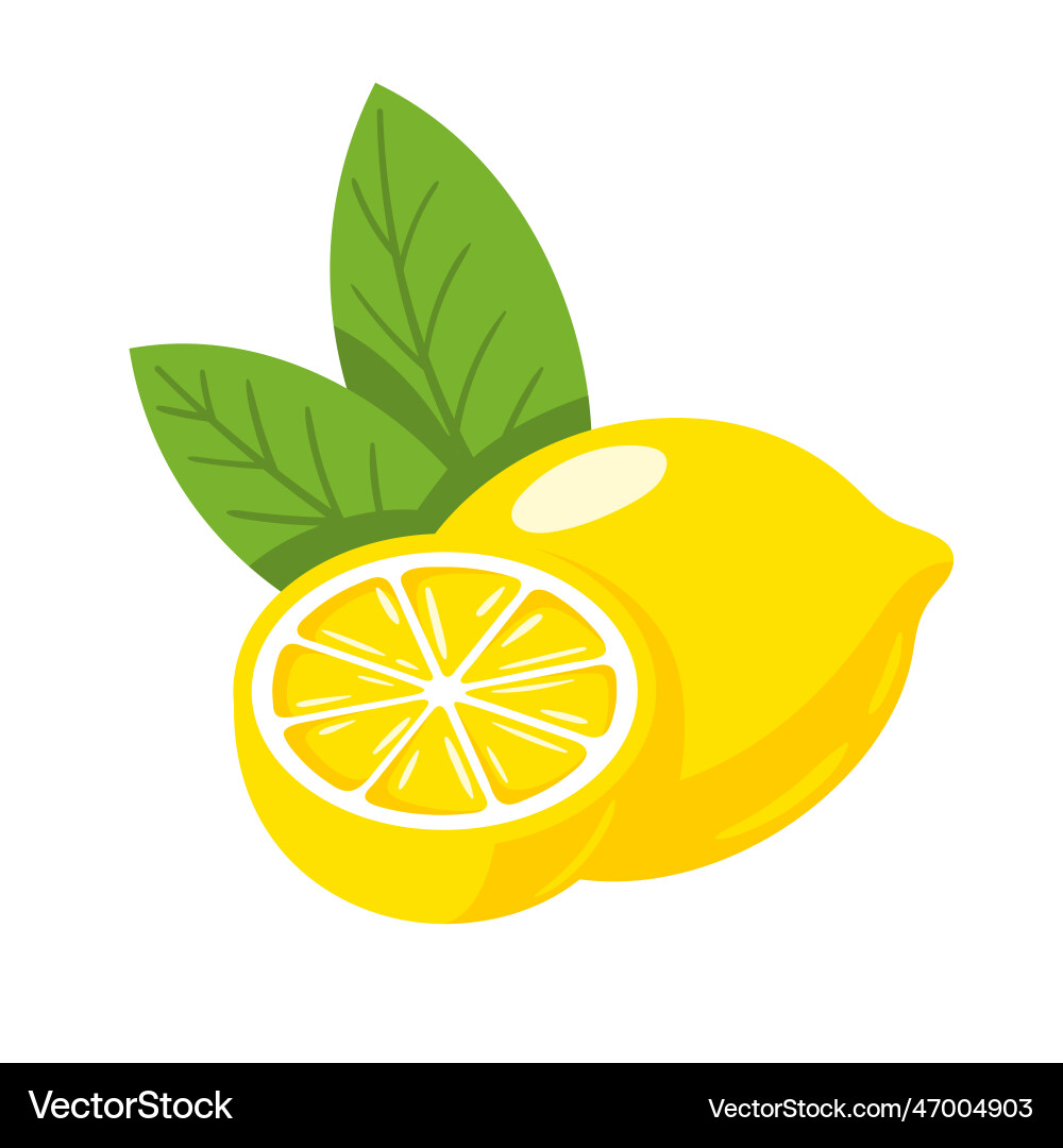 Yellow lemon isolated on white background Vector Image