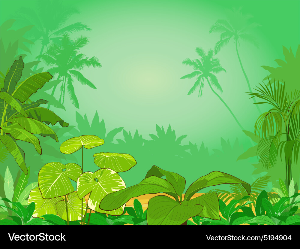 Jungle Royalty Free Vector Image - VectorStock