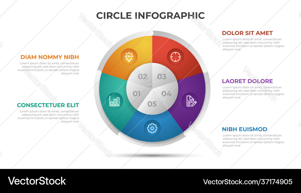 5 points infographic template with circle layout Vector Image