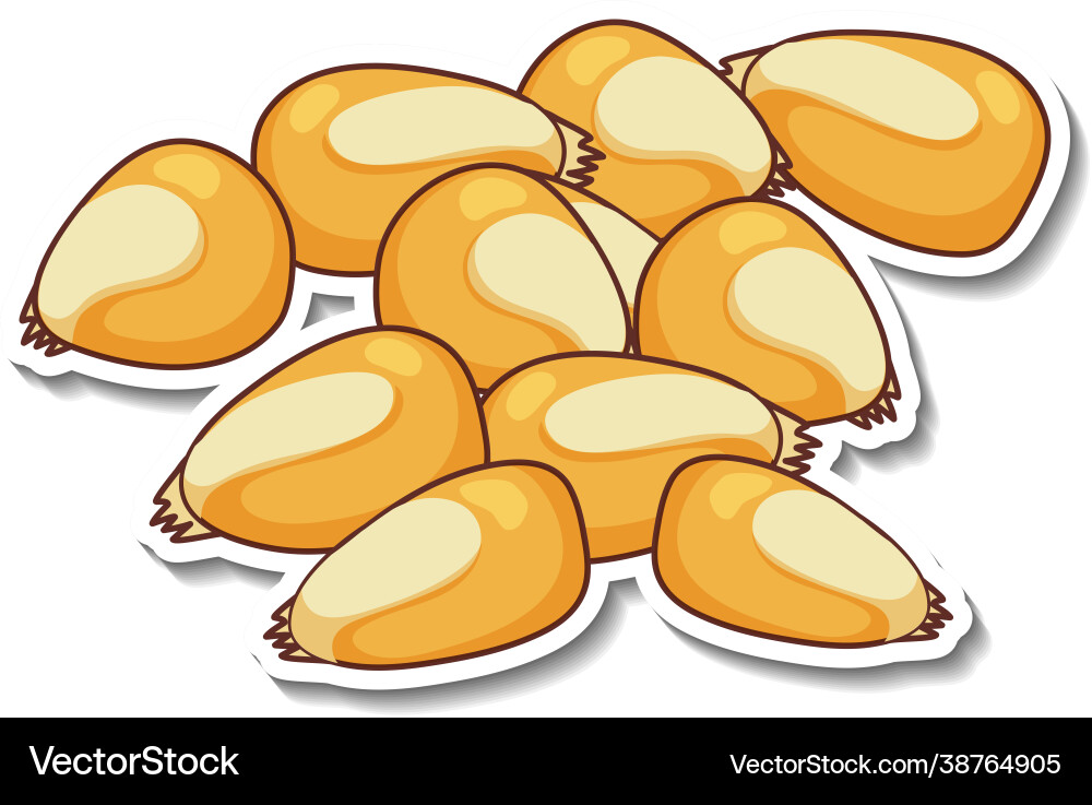 A sticker template with corn seeds isolated Vector Image