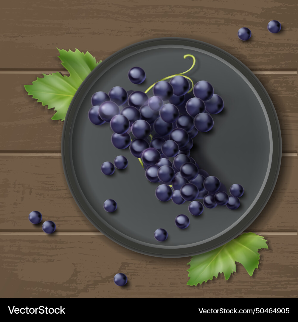 Bunch of grapes Royalty Free Vector Image - VectorStock