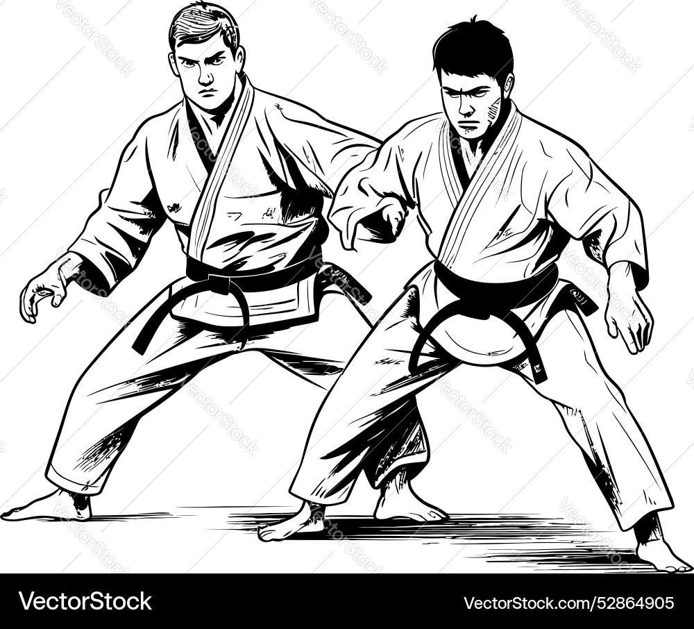 Dynamic duality symbol icon harmony fighters Vector Image