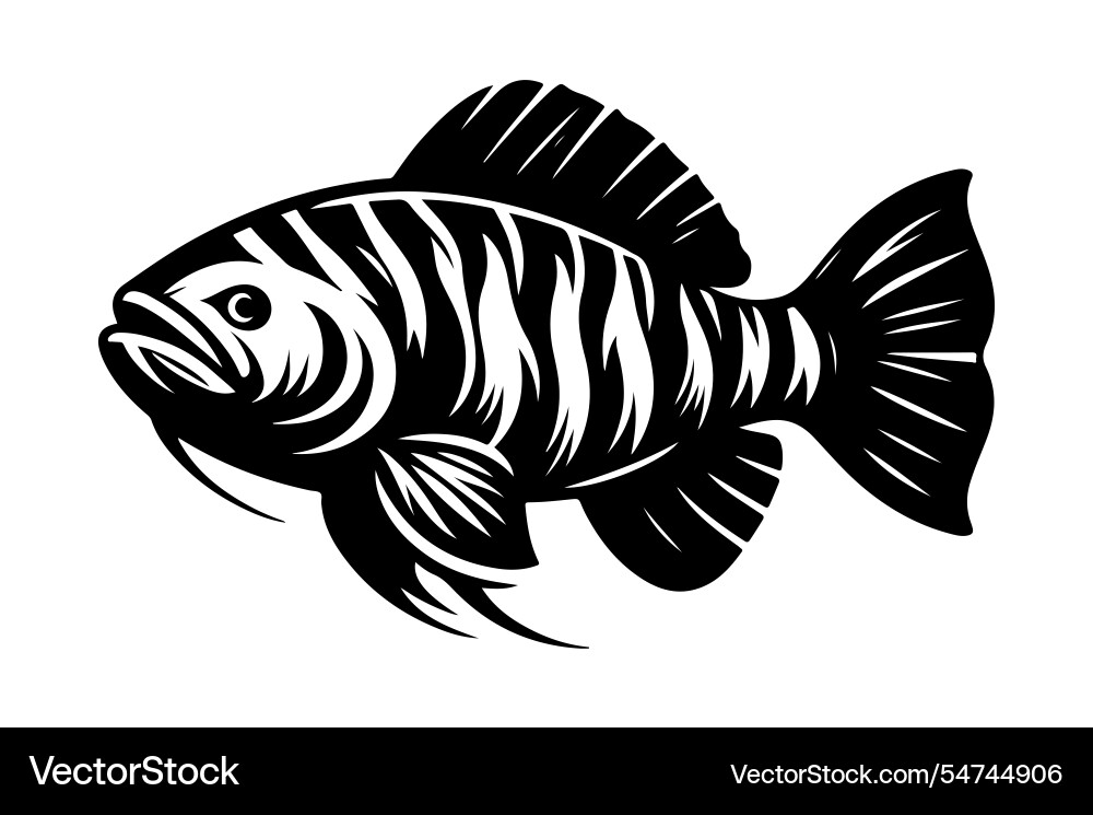 Goliath tigerfish silhouette - high-quality Vector Image