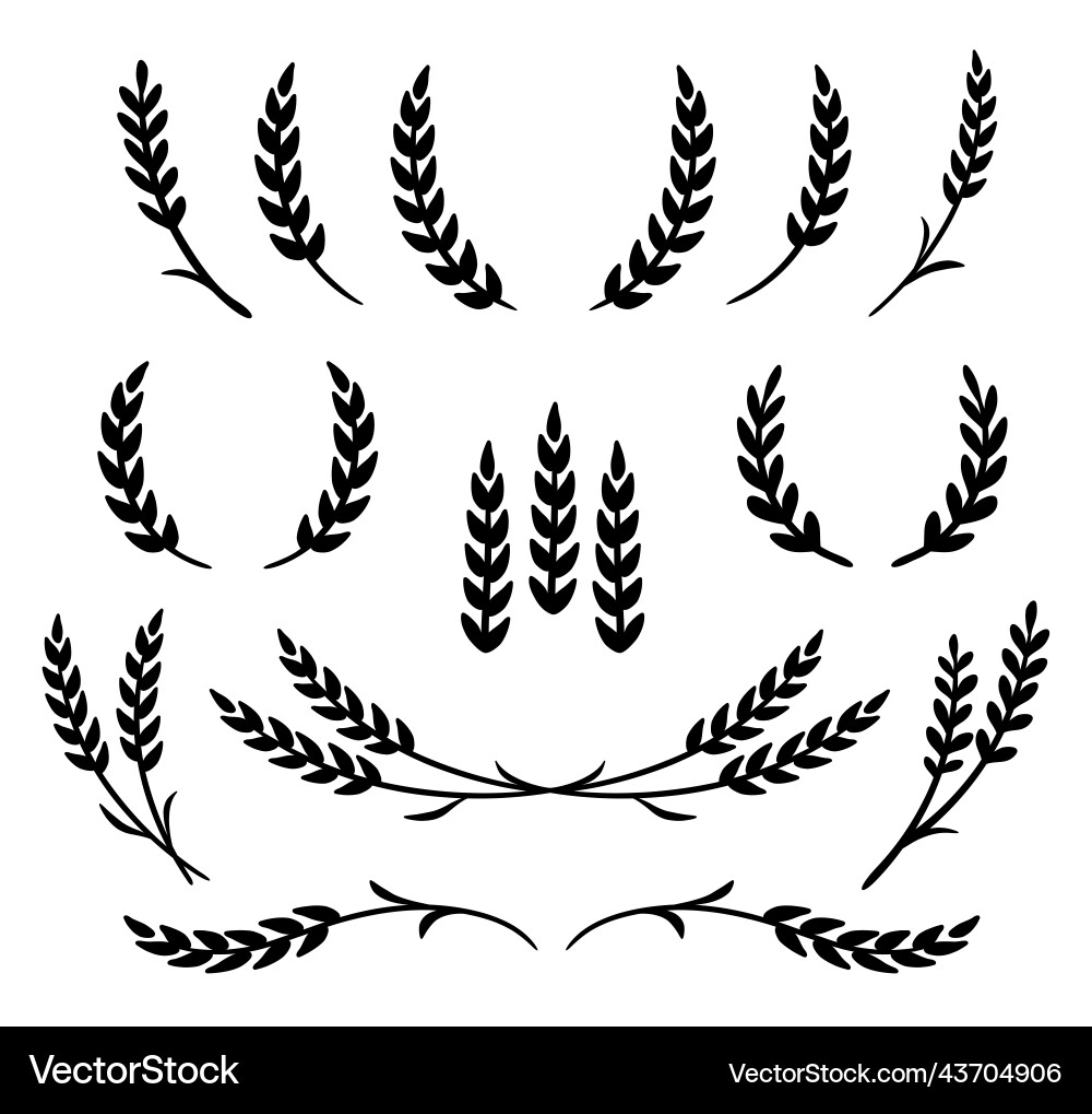 Wheat and barley rye stalks set silhouettes Vector Image