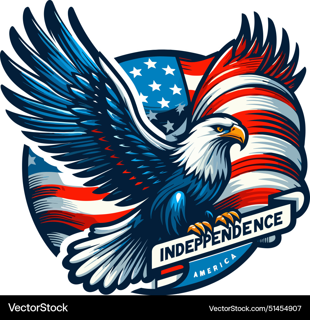 American eagle design with bald eagle like that Vector Image