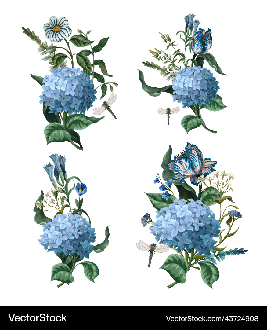 Bouquets with blue hydrangeas and other flowers Vector Image