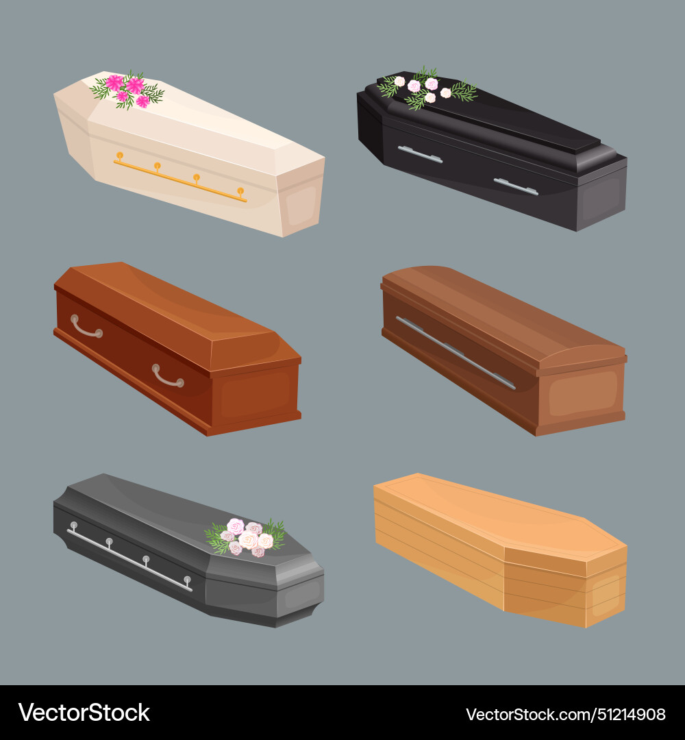 Coffins burial boxes different types tomb cases Vector Image