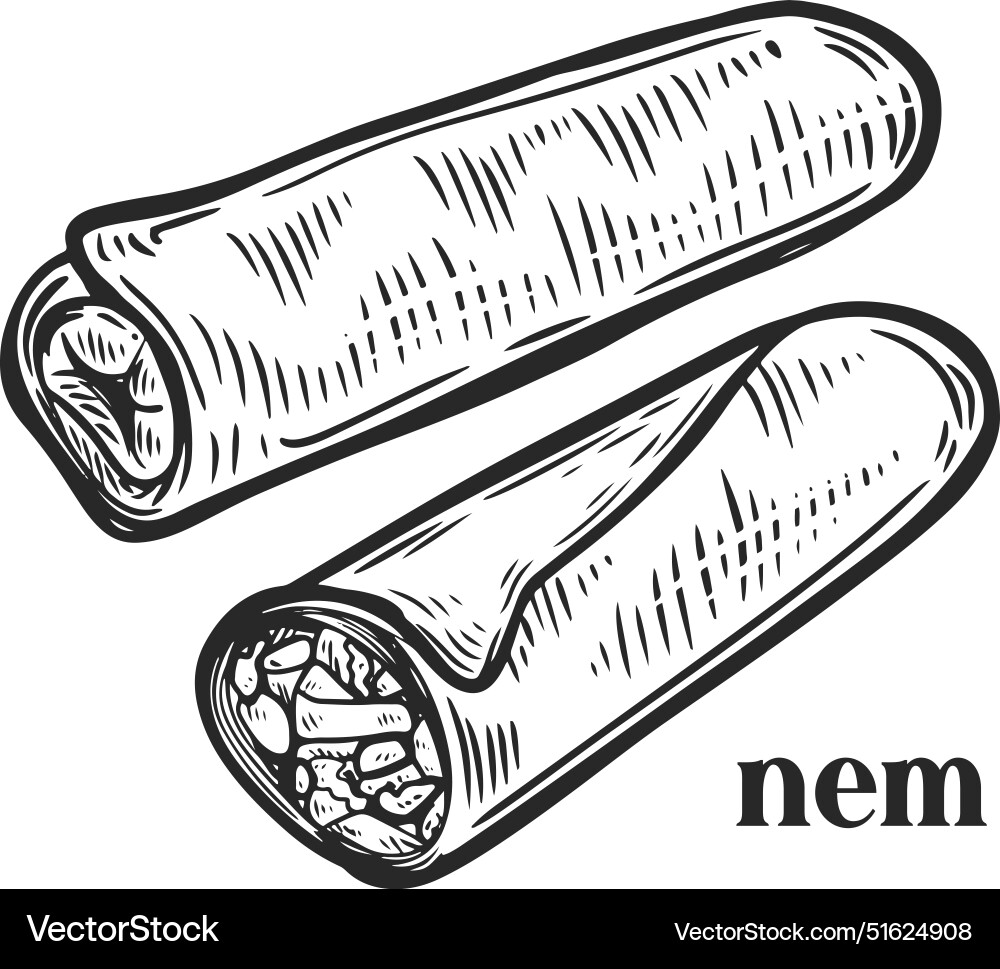 Nem street food line drawing Royalty Free Vector Image