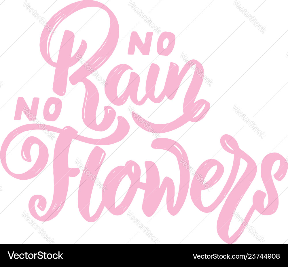 No rain flowers lettering phrase on white Vector Image