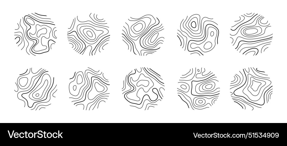 Circular wood rings or topographic map lines Vector Image