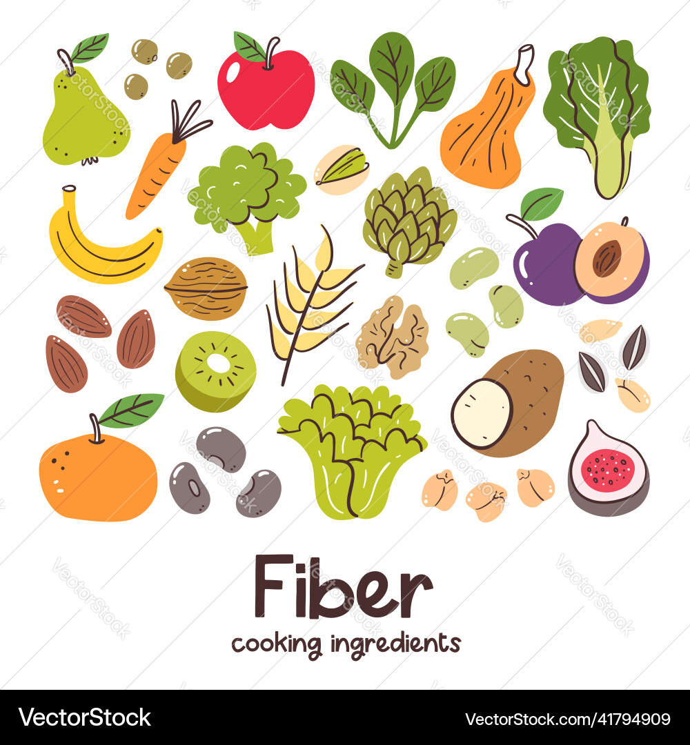 Fiber food cooking ingredients Royalty Free Vector Image