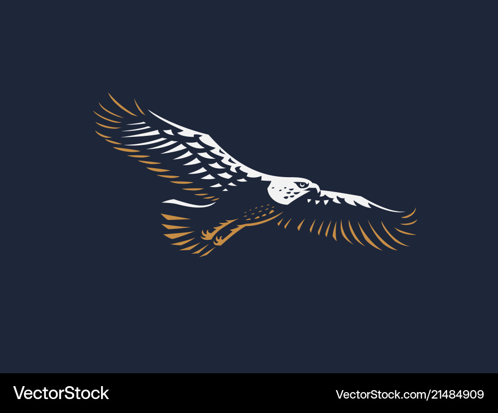 Flying eagle Royalty Free Vector Image - VectorStock