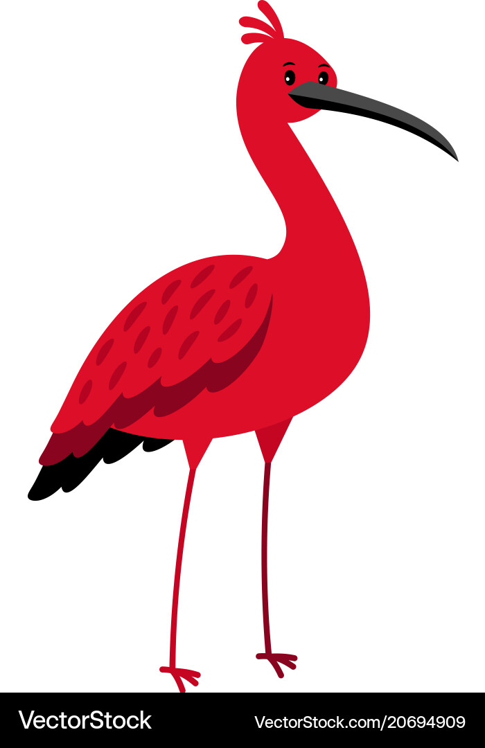Red Ibis Cartoon Bird Icon Royalty Free Vector Image