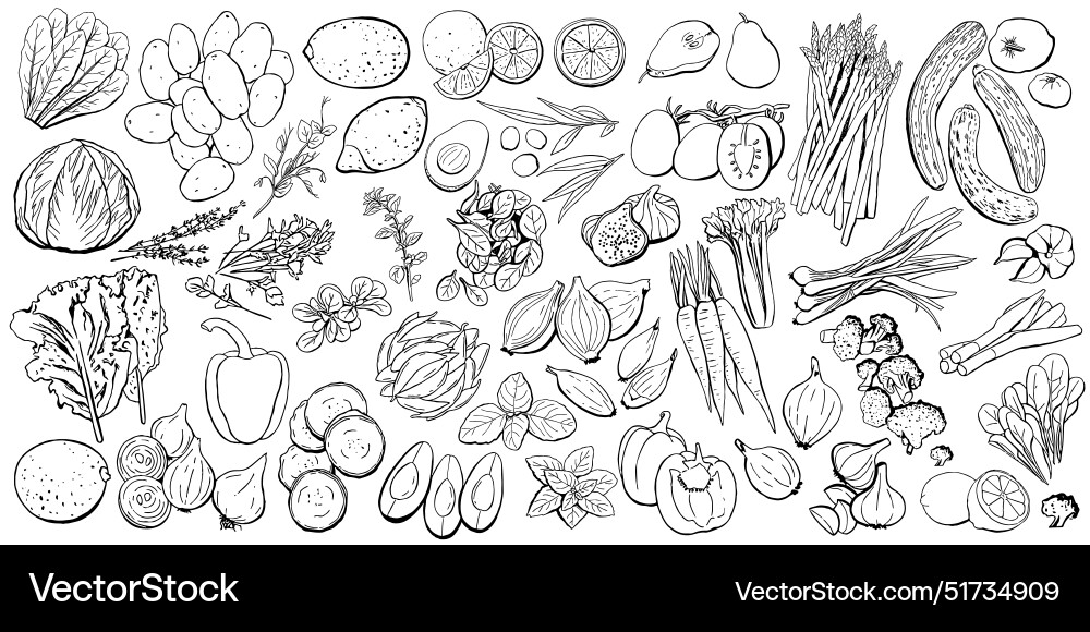 Vegetables and fruits outline set Royalty Free Vector Image