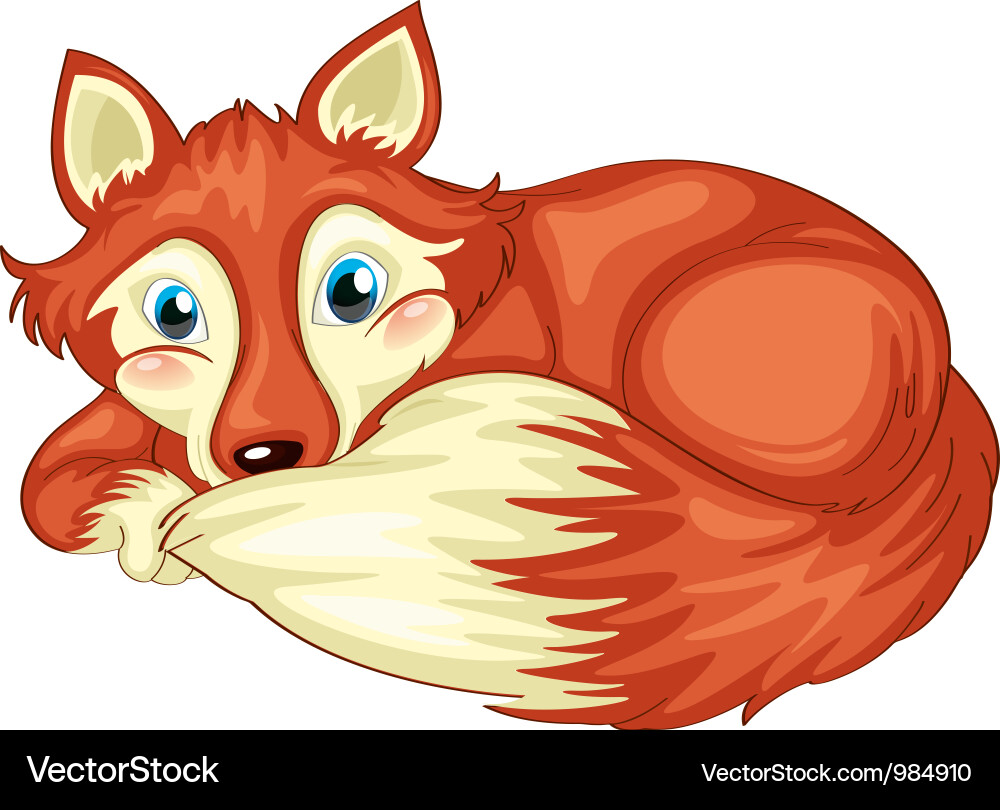 Cartoon fox Royalty Free Vector Image - VectorStock