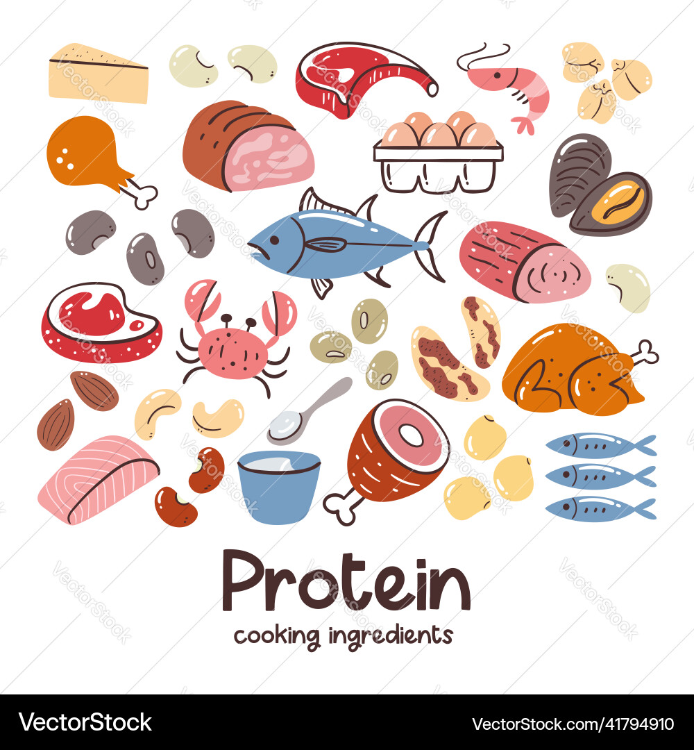 Protein food cooking ingredients Royalty Free Vector Image