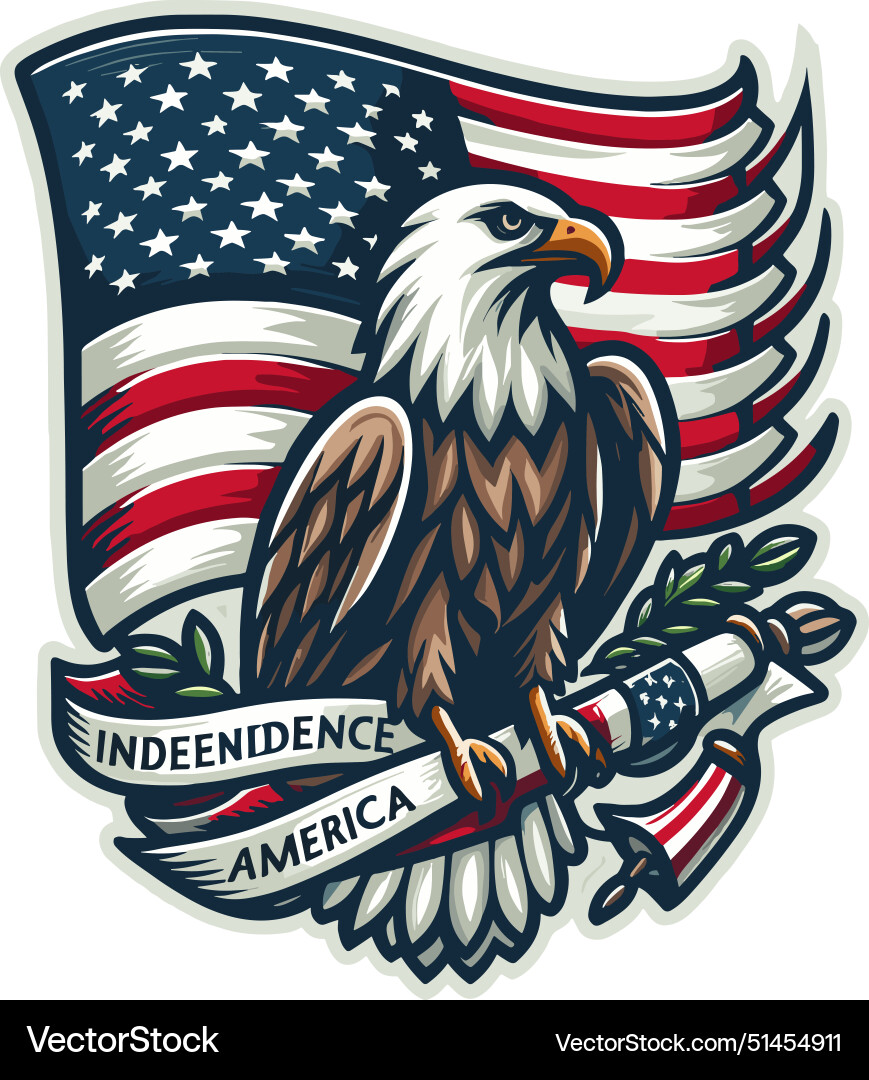 American eagle design with bald eagle like that Vector Image