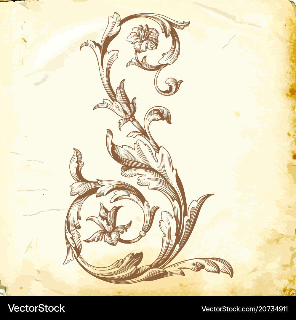 Baroque of vintage elements for design Royalty Free Vector