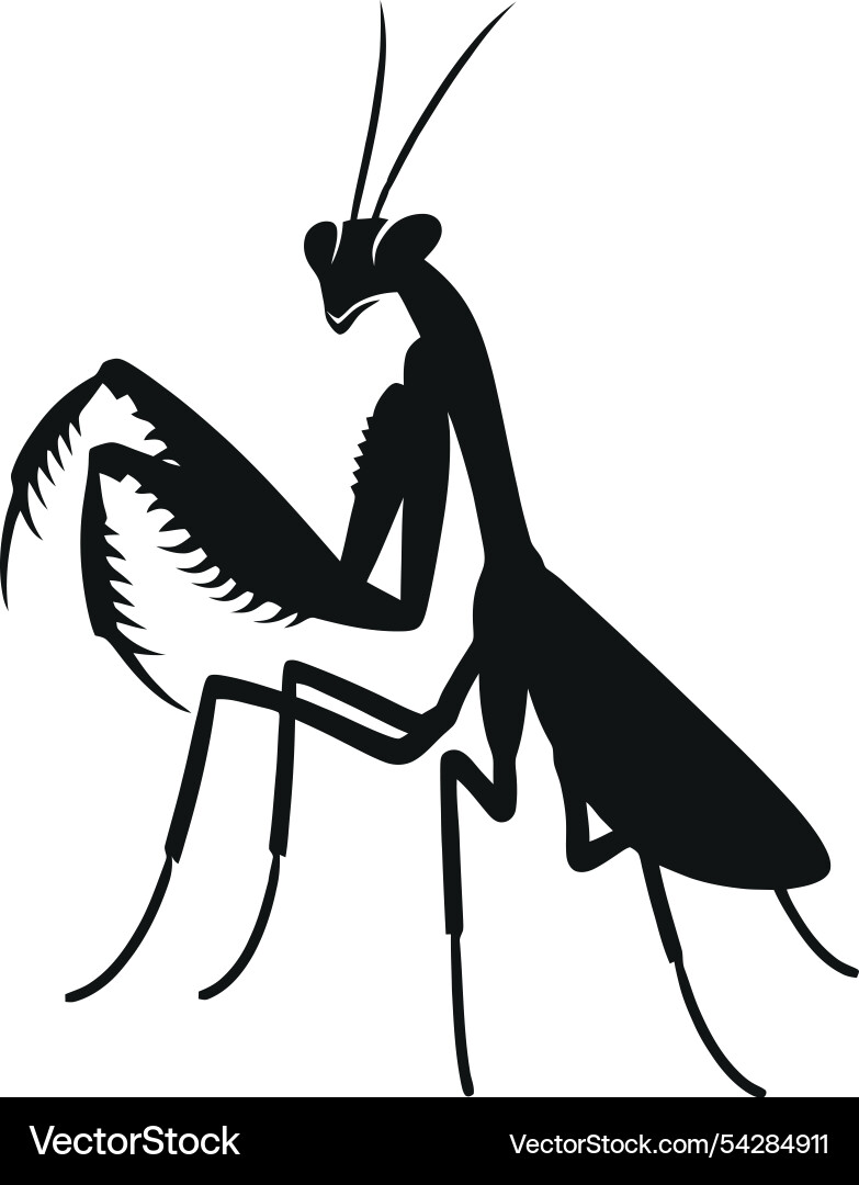 Best praying mantis silhouette Royalty Free Vector Image