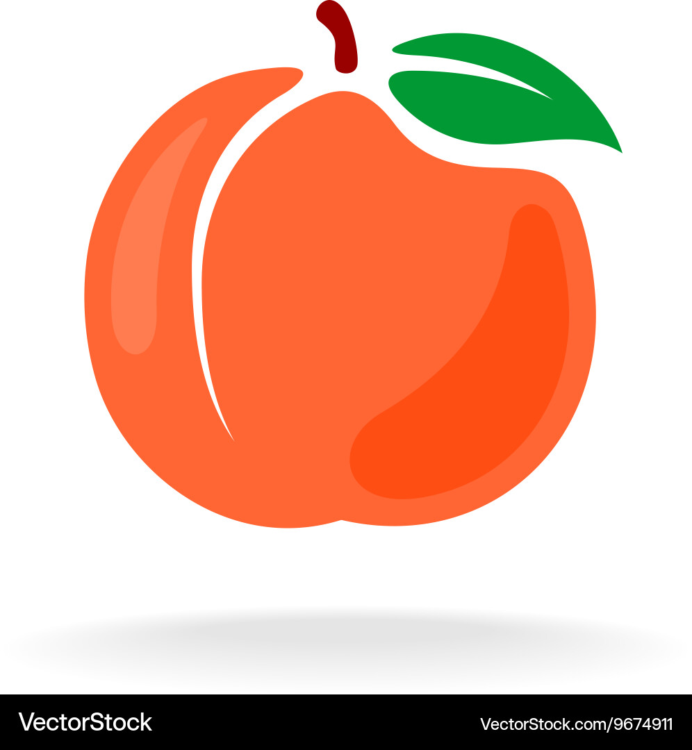 Cartoon style color isolated peach fruit Vector Image