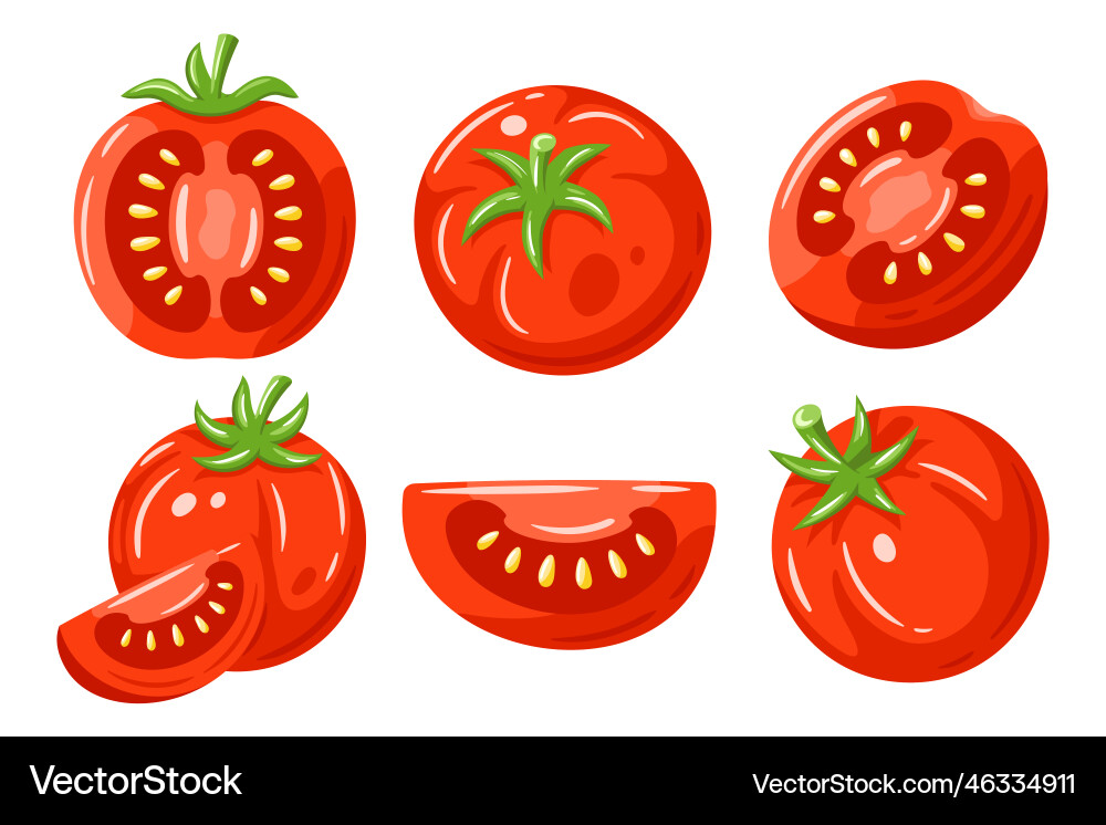 Red tomatoes collection Royalty Free Vector Image