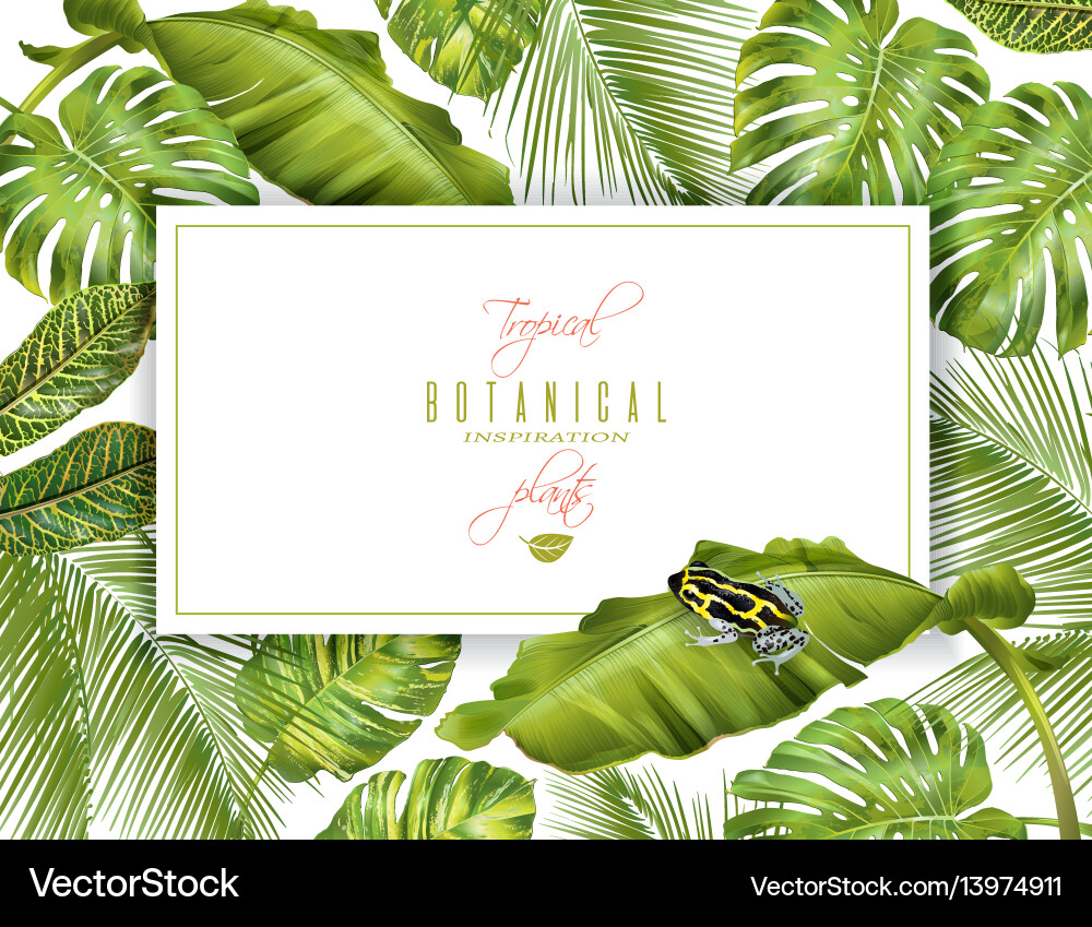 Tropical horizontal banner Royalty Free Vector Image