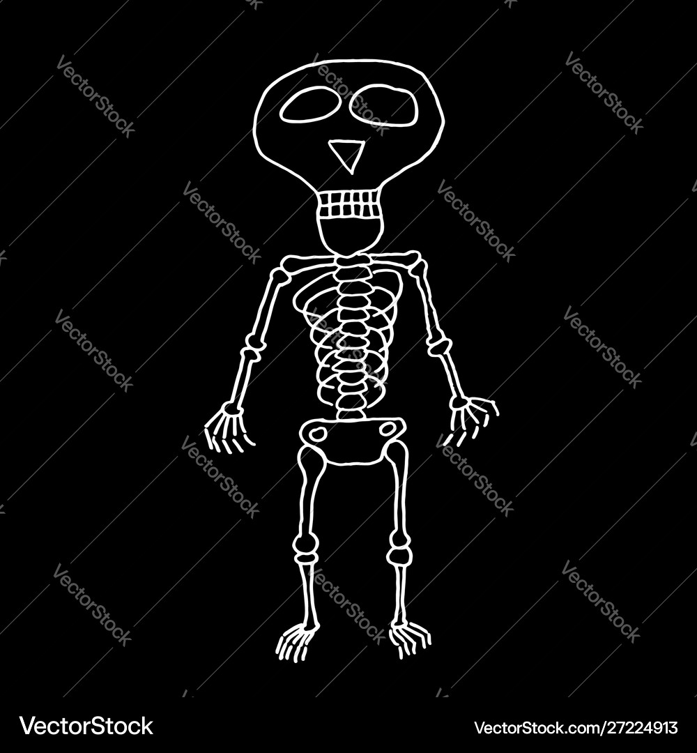 Funny hand drawn skeleton drawing Royalty Free Vector Image