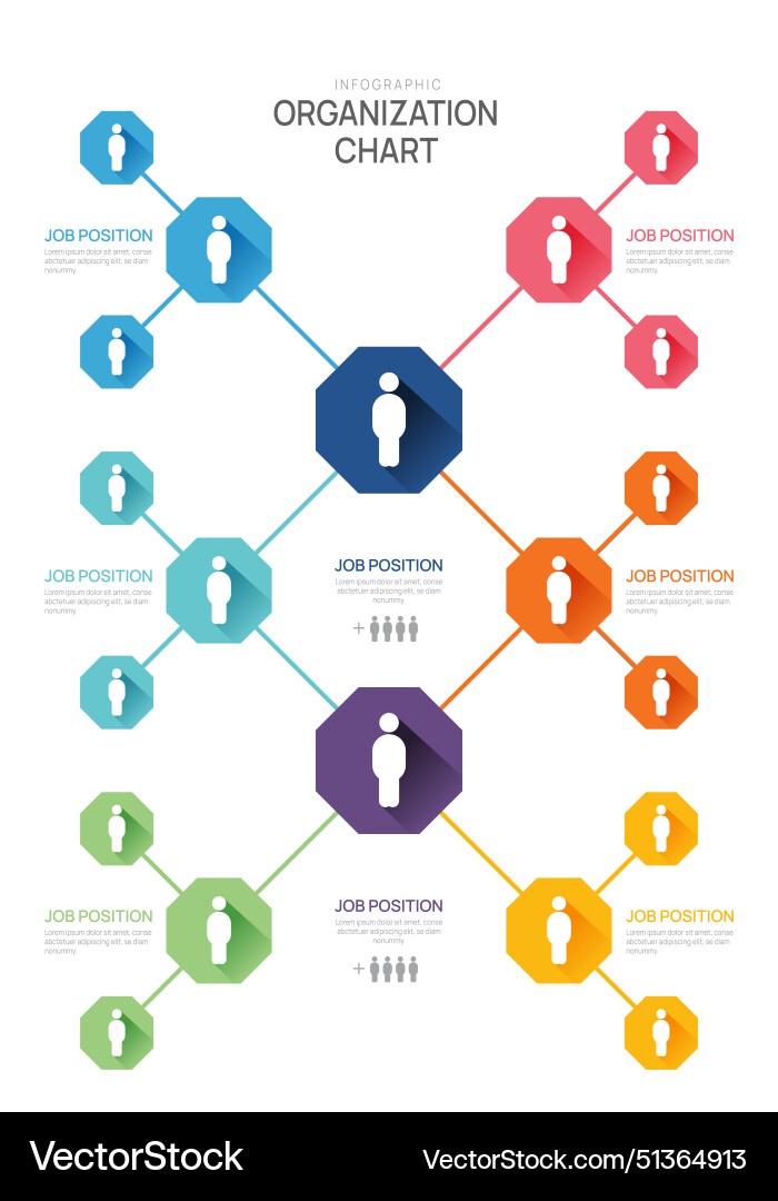 Infographic template for organization chart Vector Image