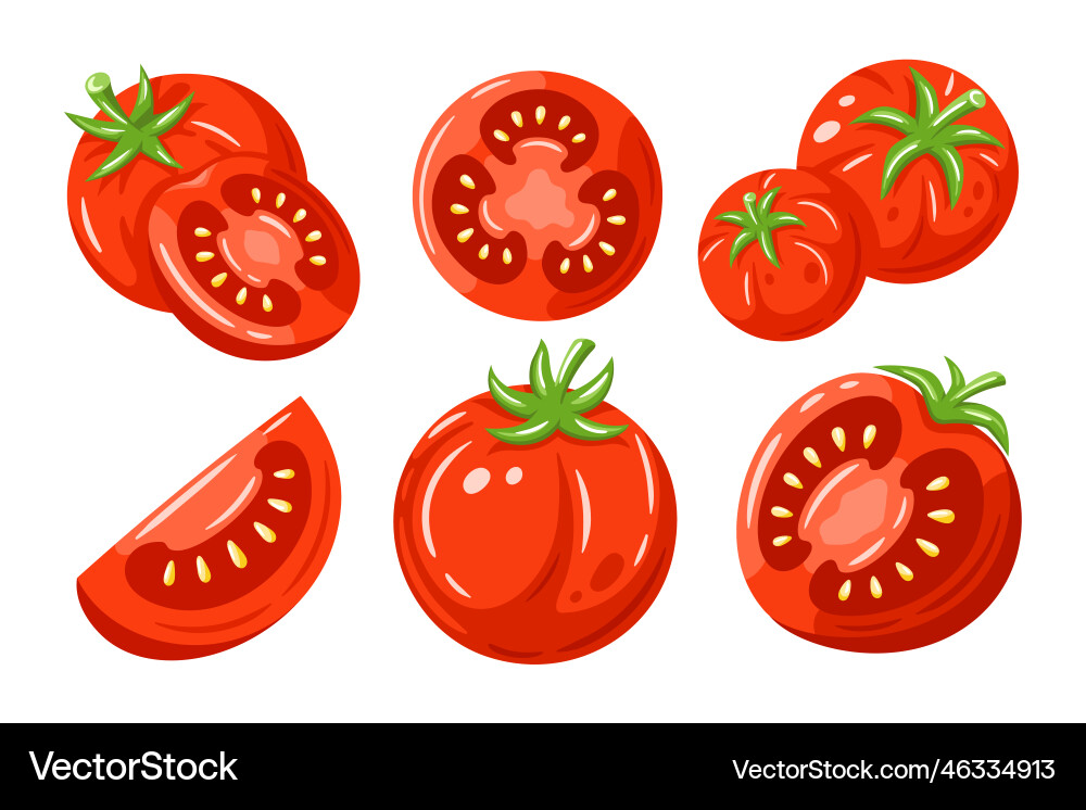 Red tomatoes collection Royalty Free Vector Image
