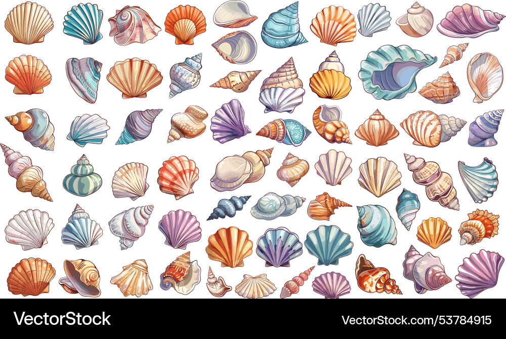 Seashell set sea ocean shell collection tropical Vector Image
