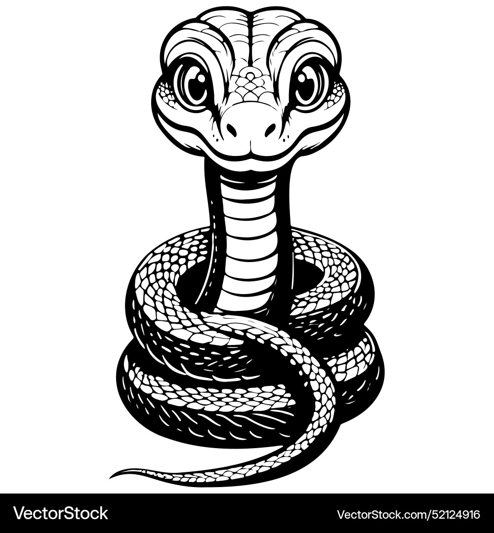Cartoon snake hand drawn line transparent Vector Image